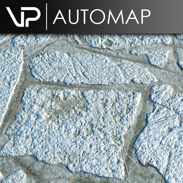 AUTOMAP - Reference Guide - VIZPARK™