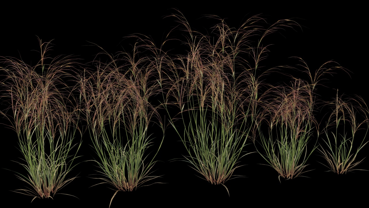 Real Grass - 3D grass models for Architectural Visualization by VIZPARK