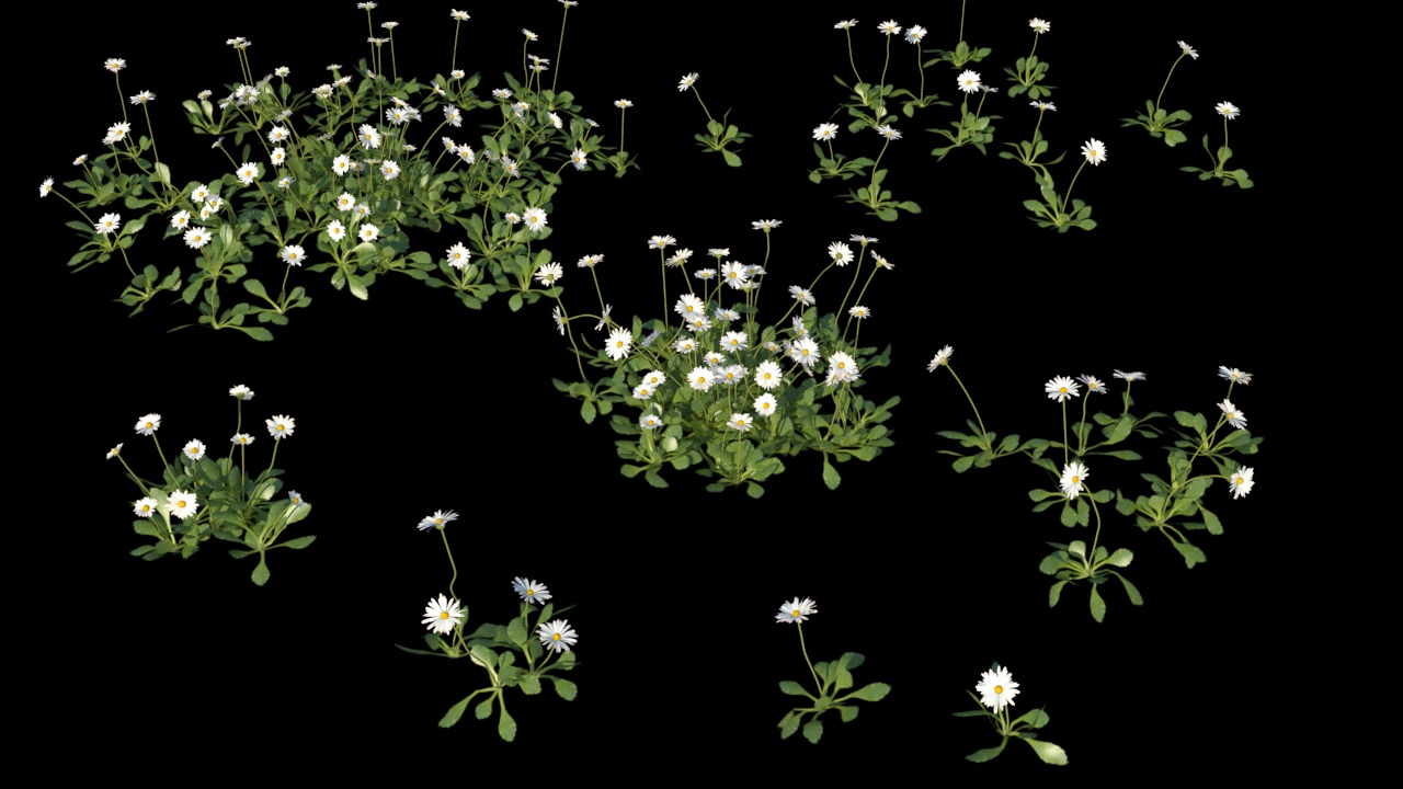 Real Grass - 3D grass models for Architectural Visualization by VIZPARK