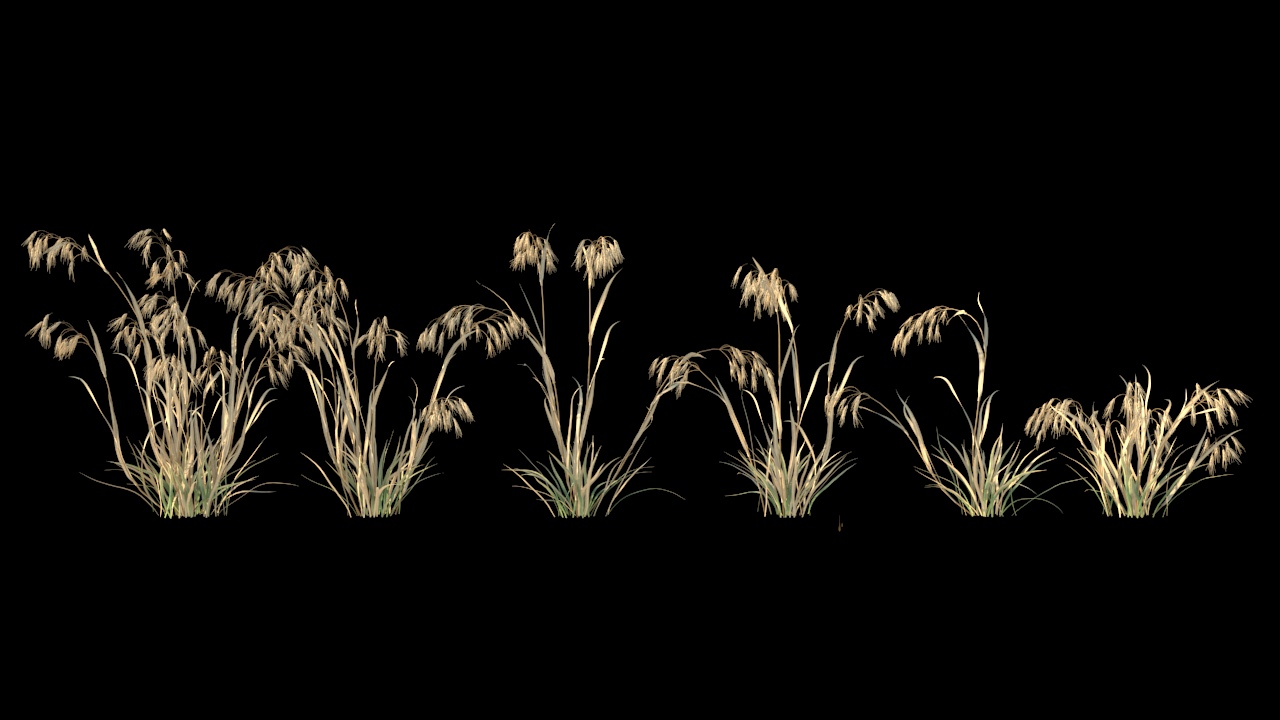 Real Grass - 3D grass models for Architectural Visualization by VIZPARK