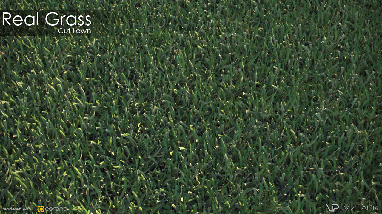 Real Grass - 3D grass models for Architectural Visualization by VIZPARK