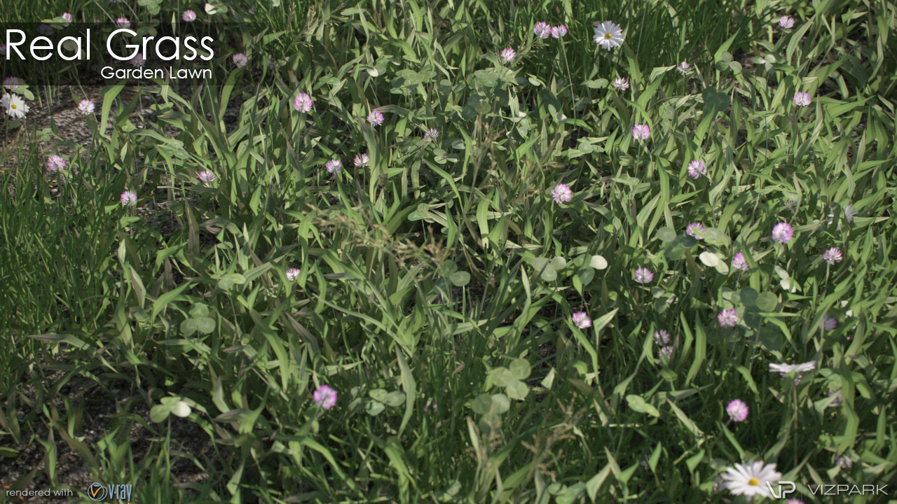 Real Grass - 3D grass models for Architectural Visualization by VIZPARK