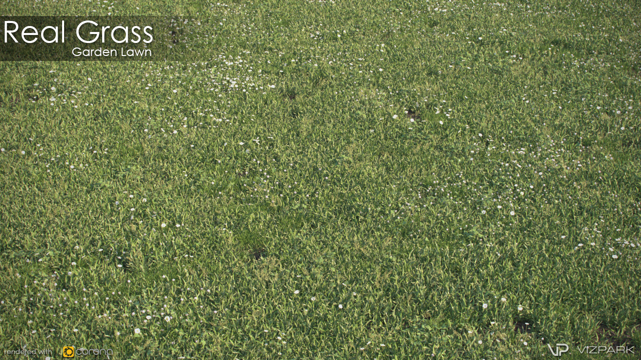 Real Grass - 3D grass models for Architectural Visualization by VIZPARK