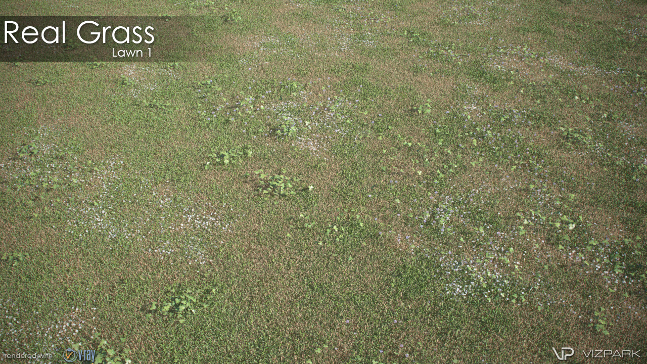 Real Grass - 3D grass models for Architectural Visualization by VIZPARK