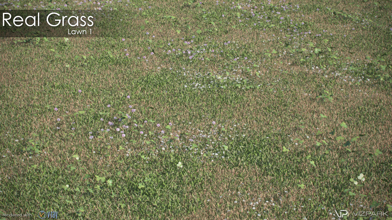 Real Grass - 3D grass models for Architectural Visualization by VIZPARK