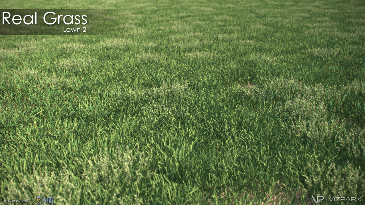 Real Grass - 3D grass models for Architectural Visualization by VIZPARK