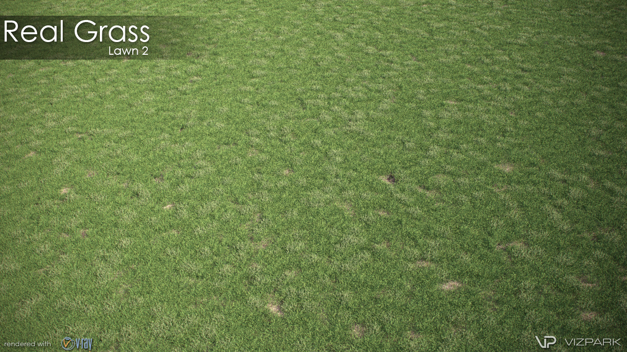 Real Grass - 3D grass models for Architectural Visualization by VIZPARK