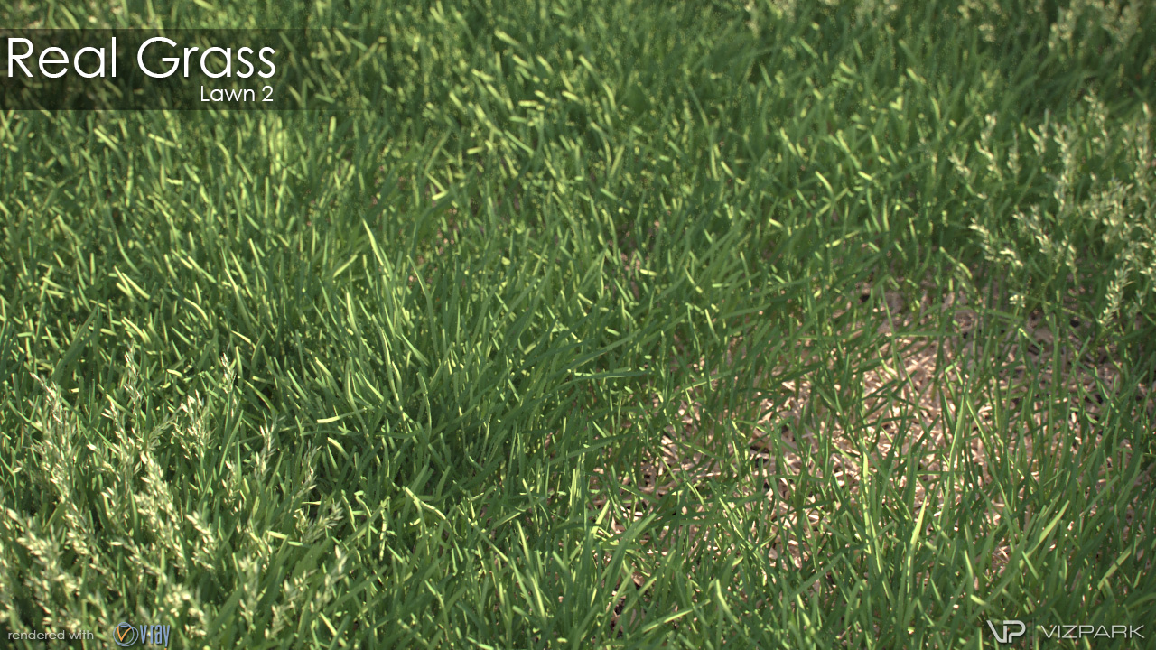 Real Grass - 3D grass models for Architectural Visualization by VIZPARK