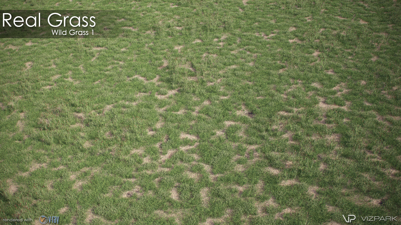 Real Grass - 3D grass models for Architectural Visualization by VIZPARK