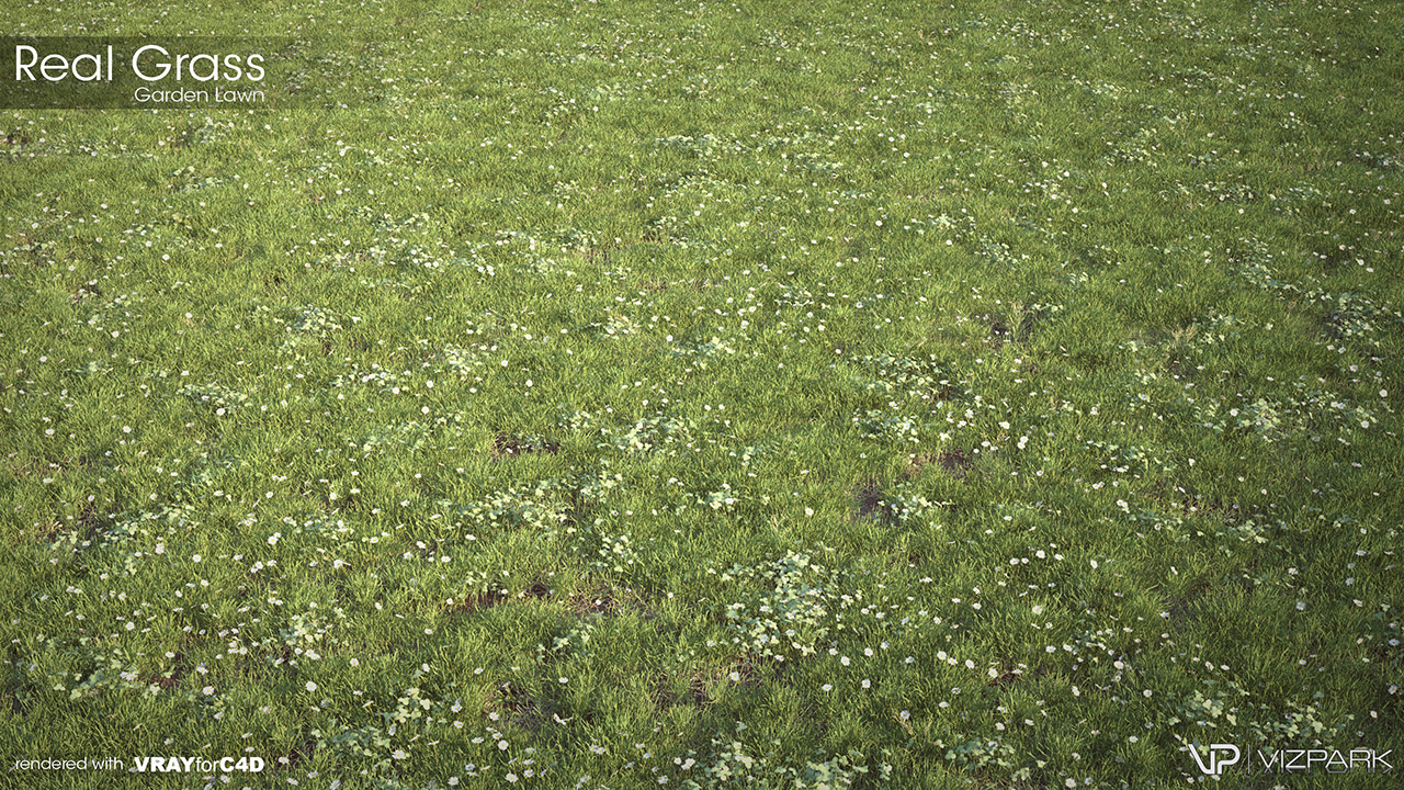 Real Grass - 3D grass models for Architectural Visualization by VIZPARK
