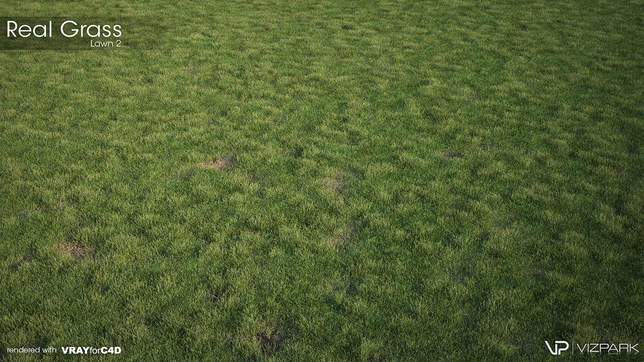 Real Grass - 3D grass models for Architectural Visualization by VIZPARK