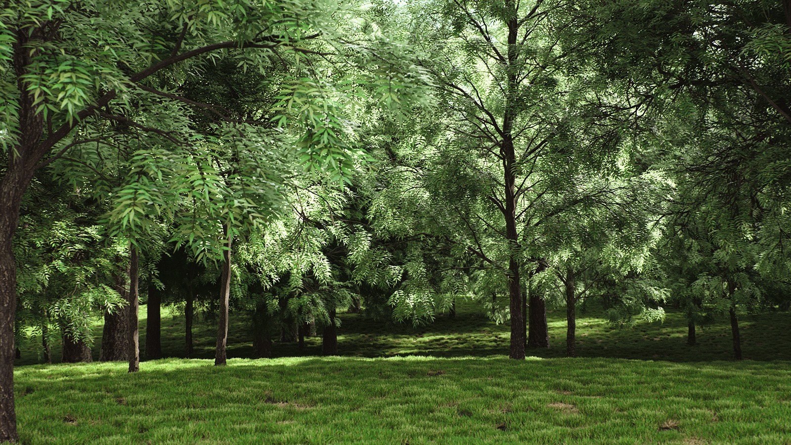 Real Trees
