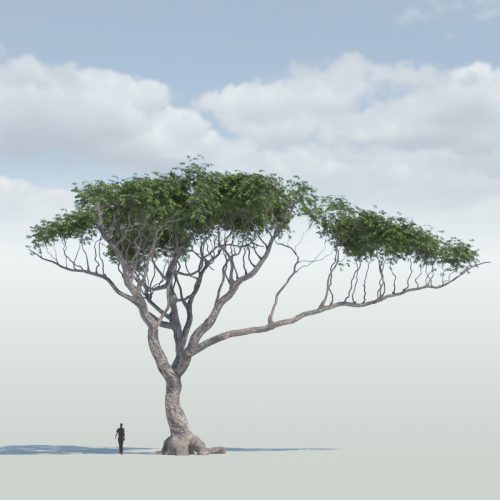 Real Trees II - VIZPARK™