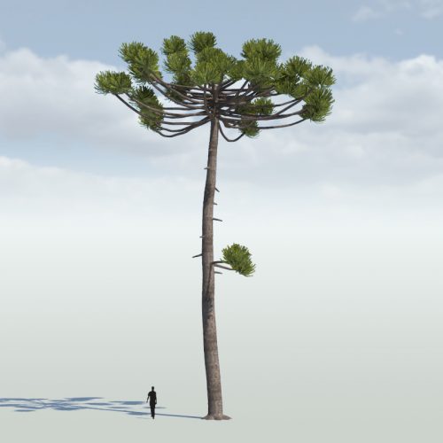 Real Trees II - VIZPARK™