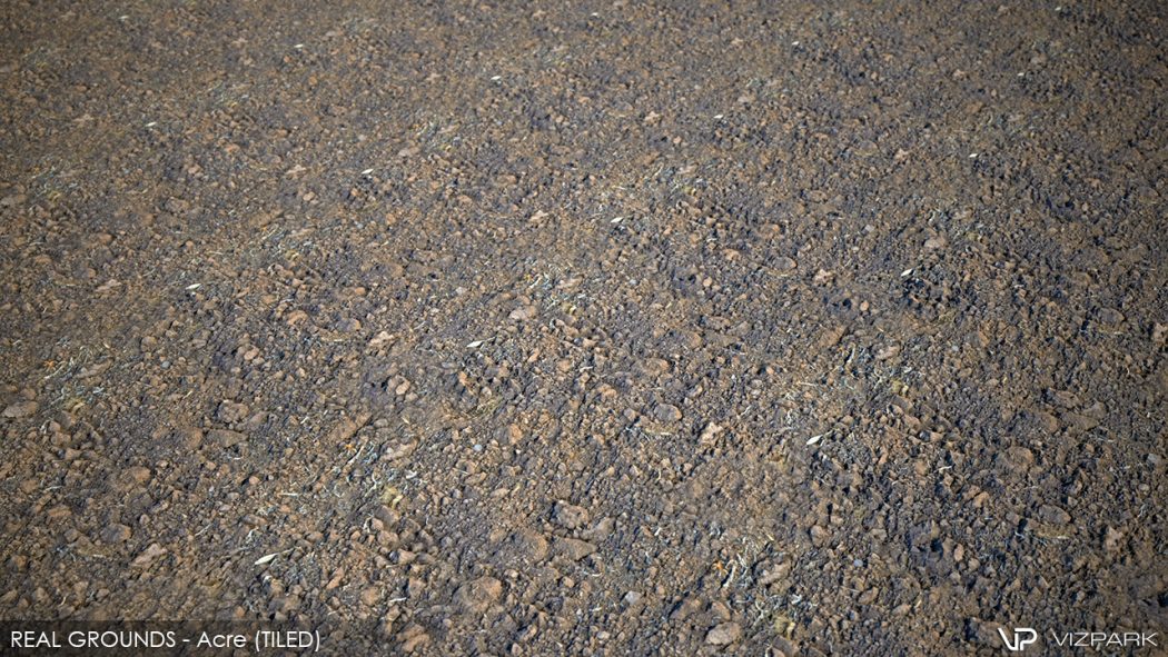 Real Grounds - VIZPARK™