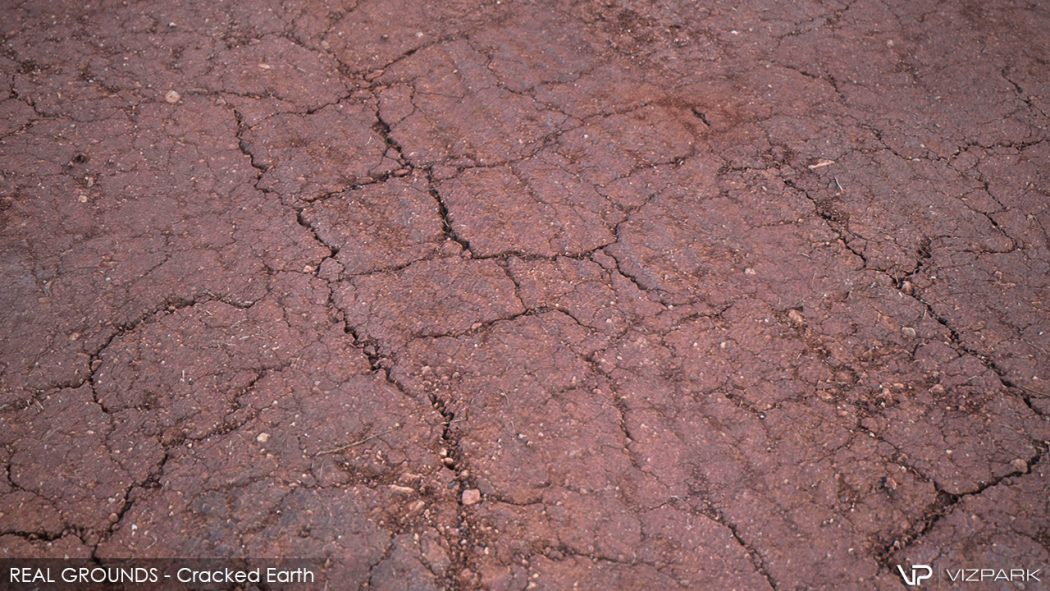 Real Grounds - VIZPARK™
