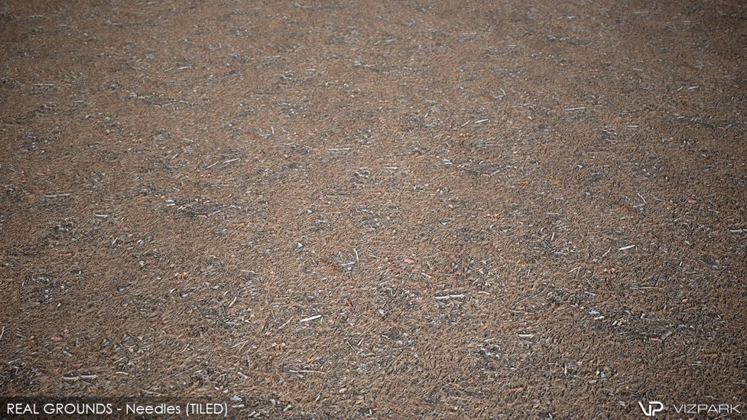 Real Grounds - VIZPARK™