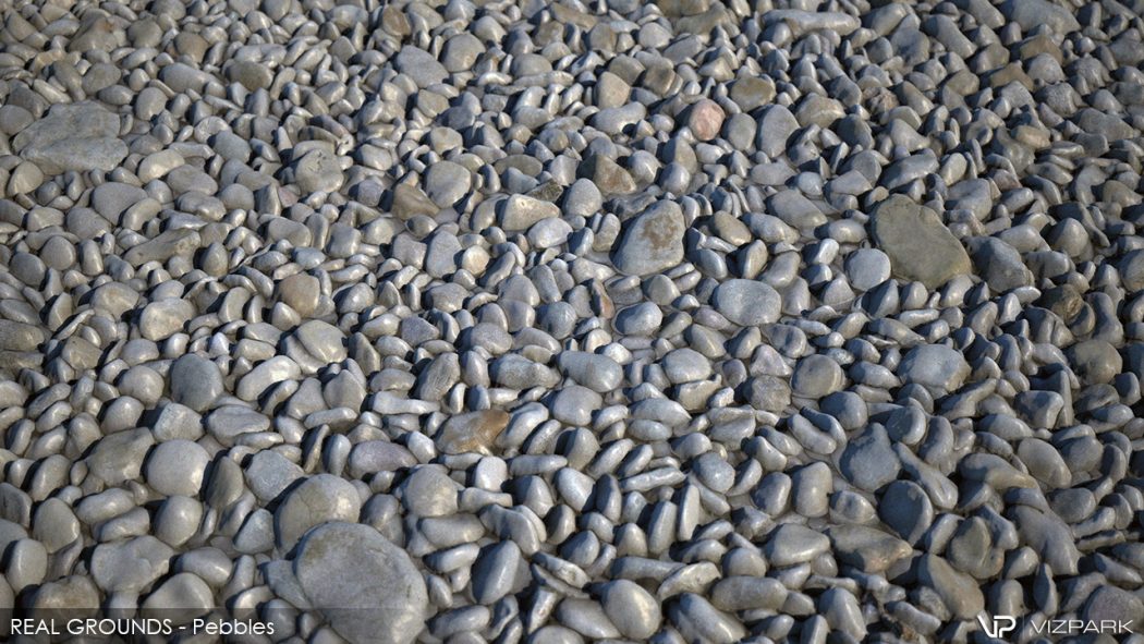 Real Grounds - VIZPARK™