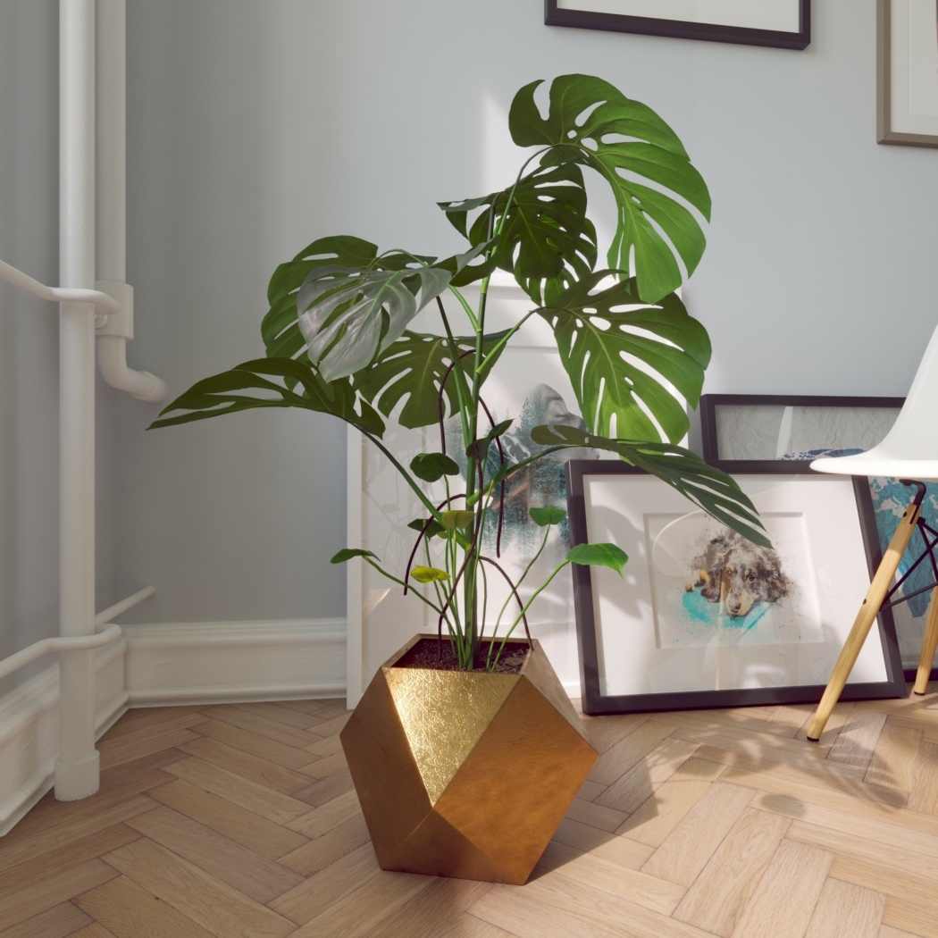 Interior Plants 3D models for realistic architectural visualization