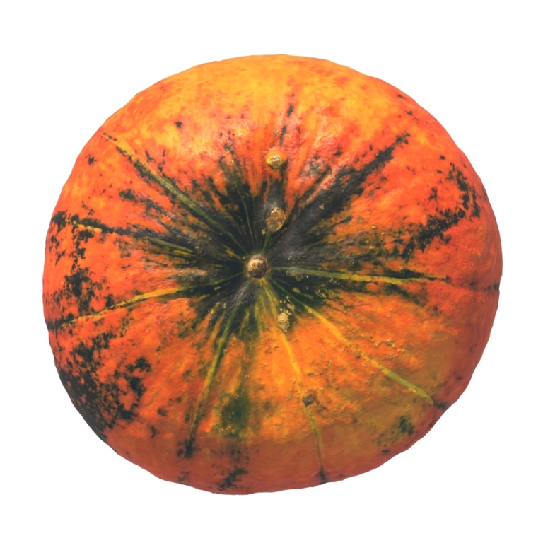3D scanned pumpkin models - VIZPARK™