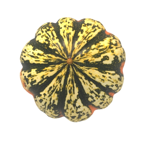 3D scanned pumpkin models - VIZPARK™