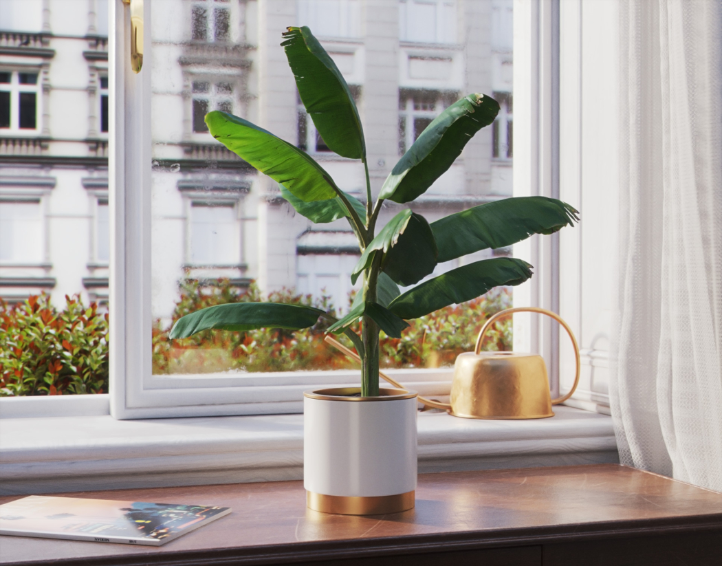 Interior Plants 3D models for realistic architectural visualization