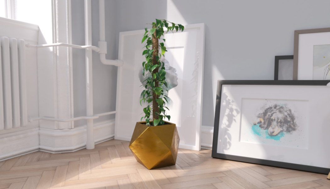 Interior Plants 3D models for realistic architectural visualization