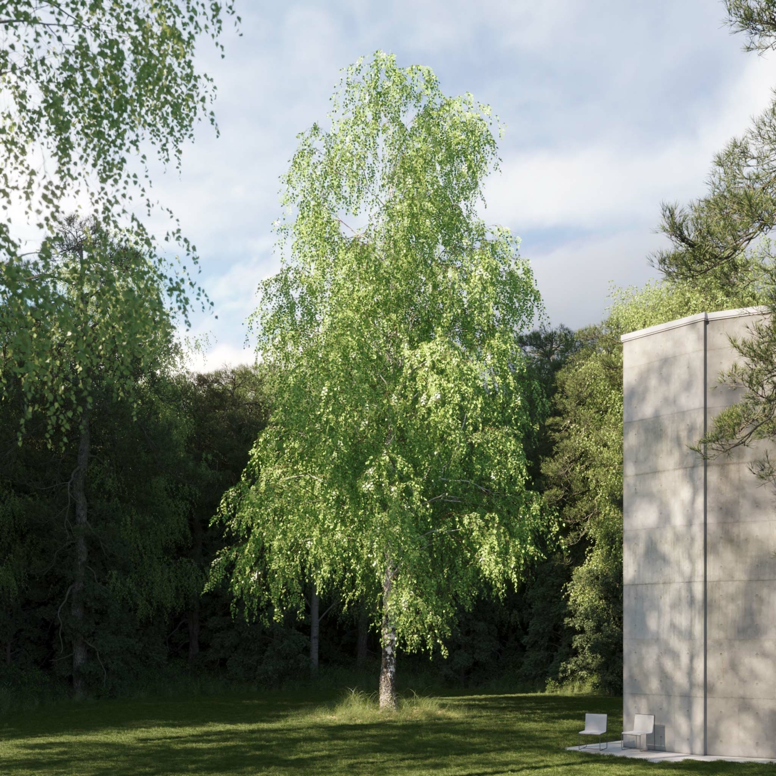 3D tree models for realistic architectural visualization