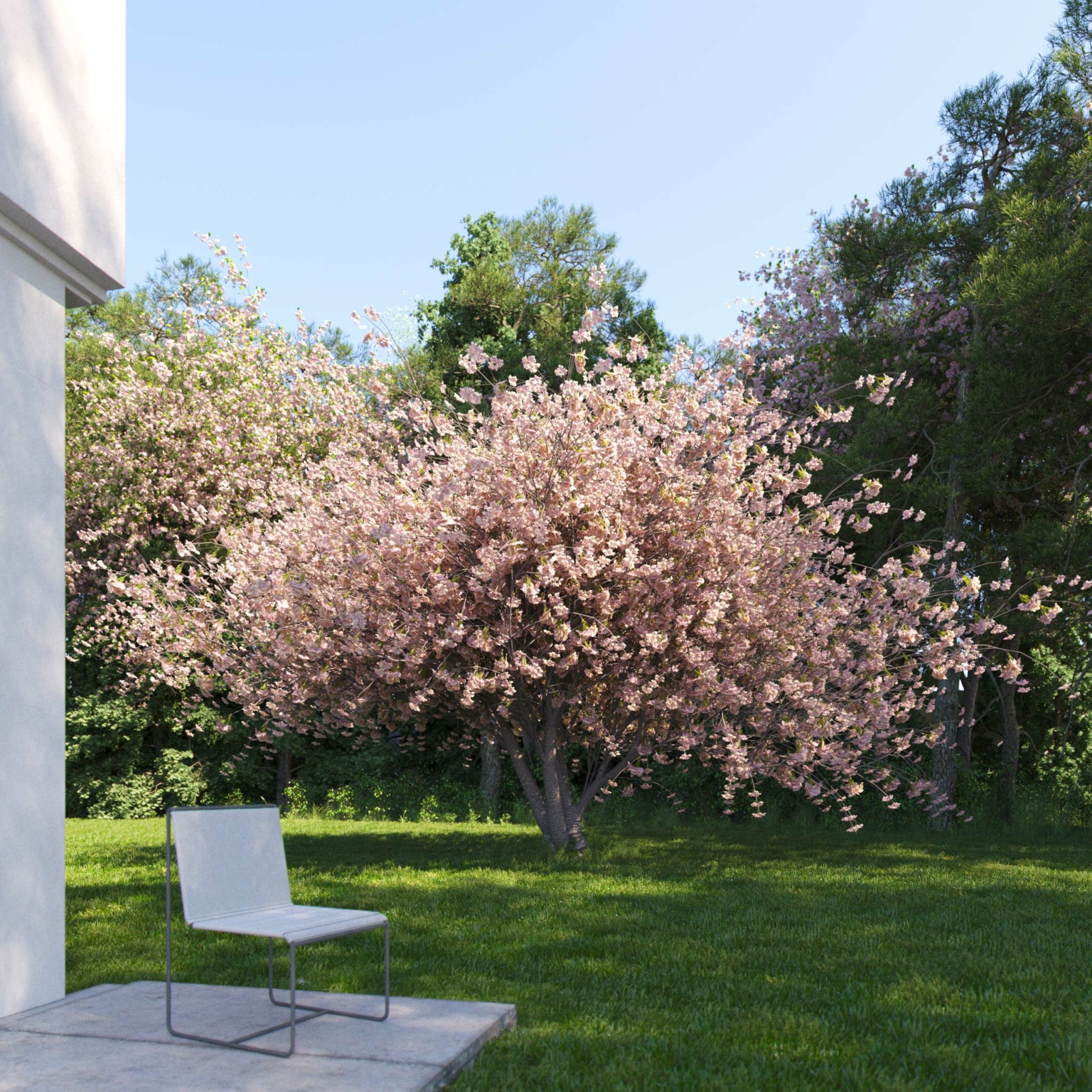 3D tree models for realistic architectural visualization