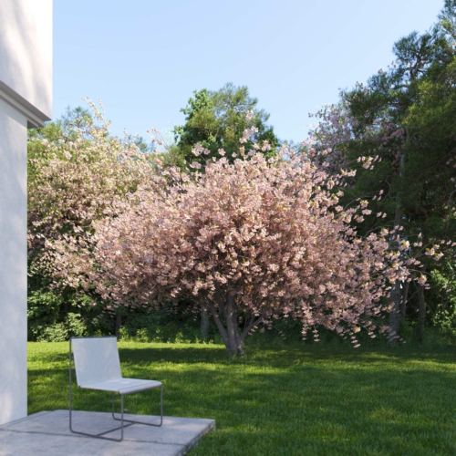 3D tree models for realistic architectural visualization