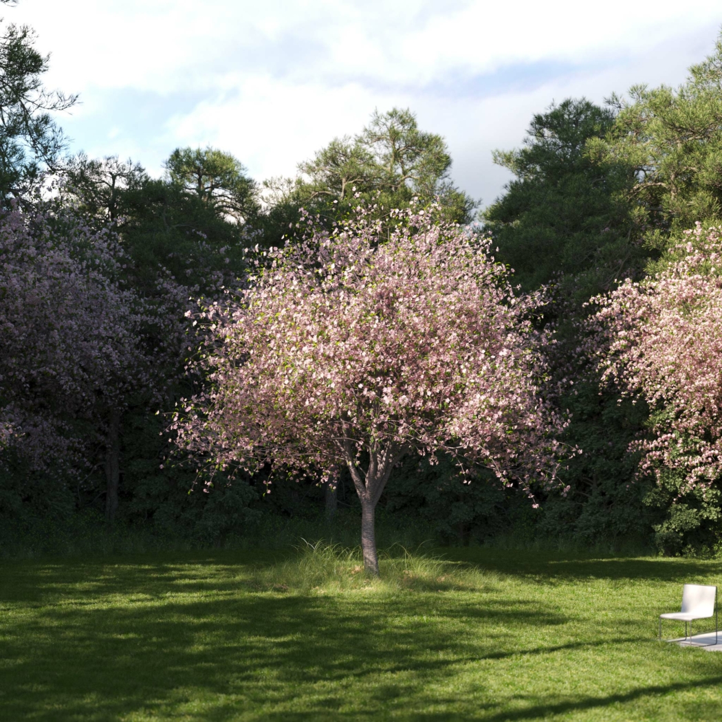 3D tree models for realistic architectural visualization