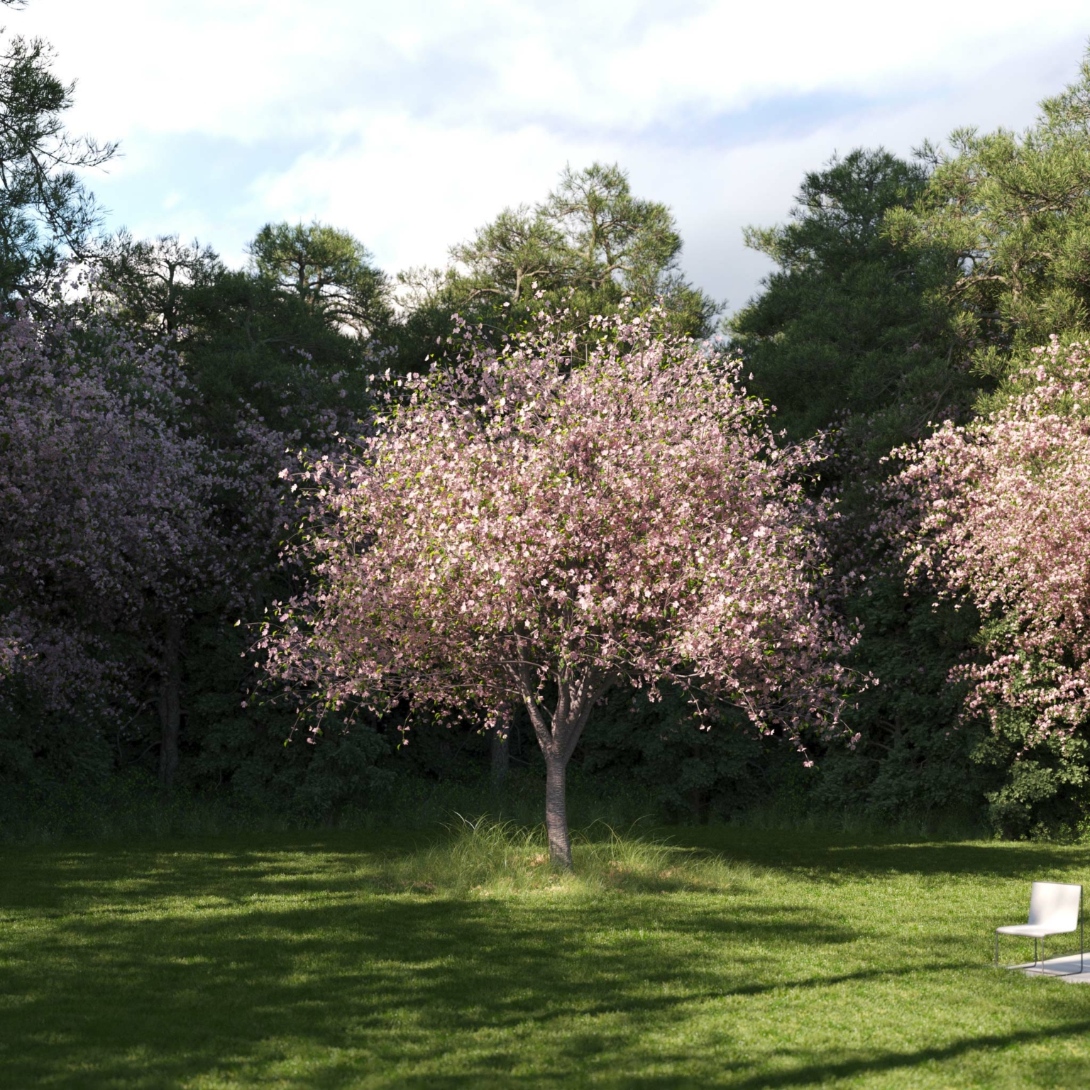 3D tree models for realistic architectural visualization