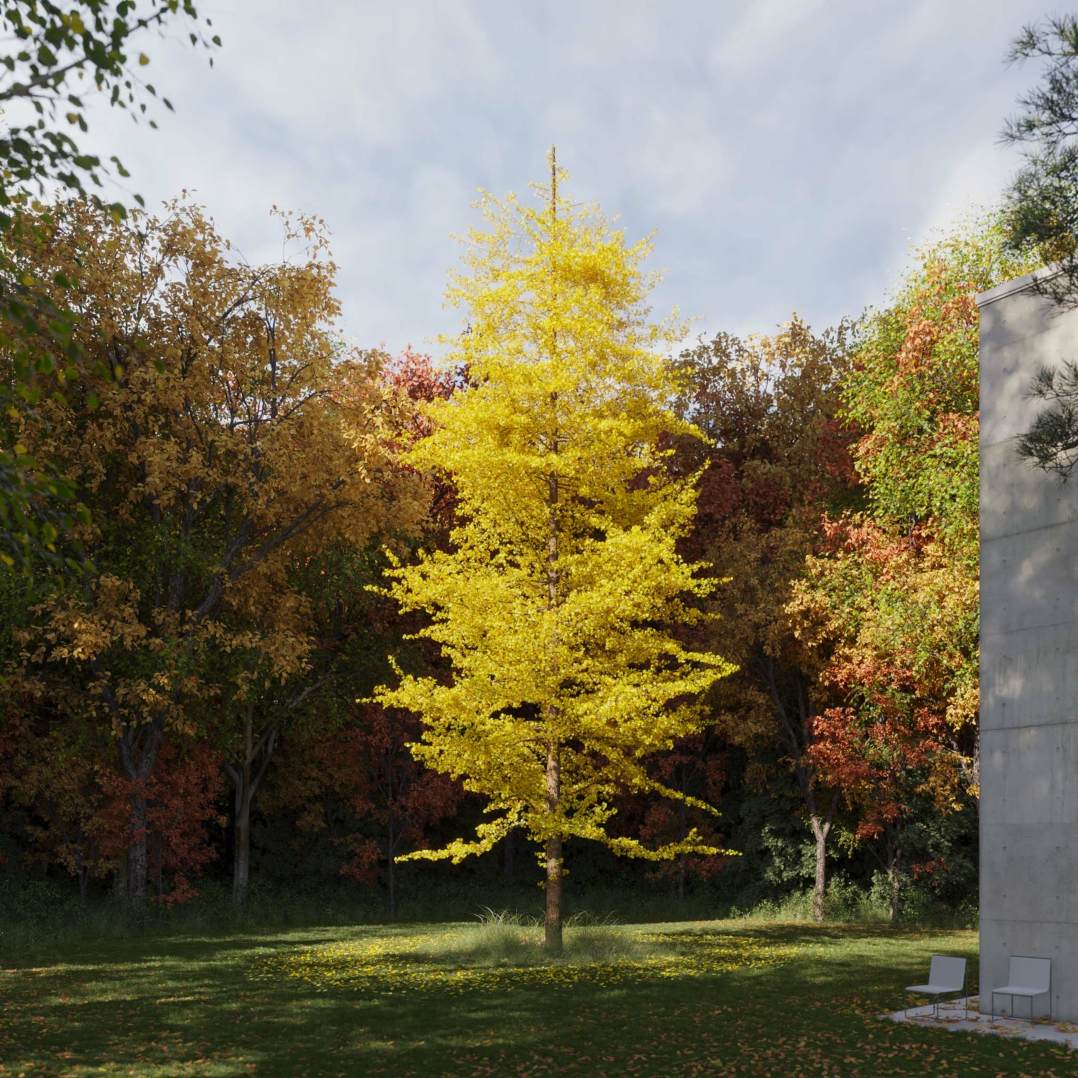 3D tree models for realistic architectural visualization