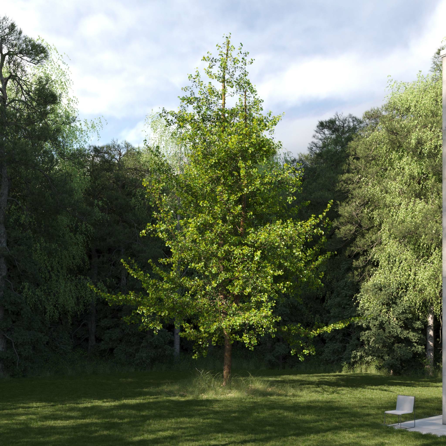 3D tree models for realistic architectural visualization