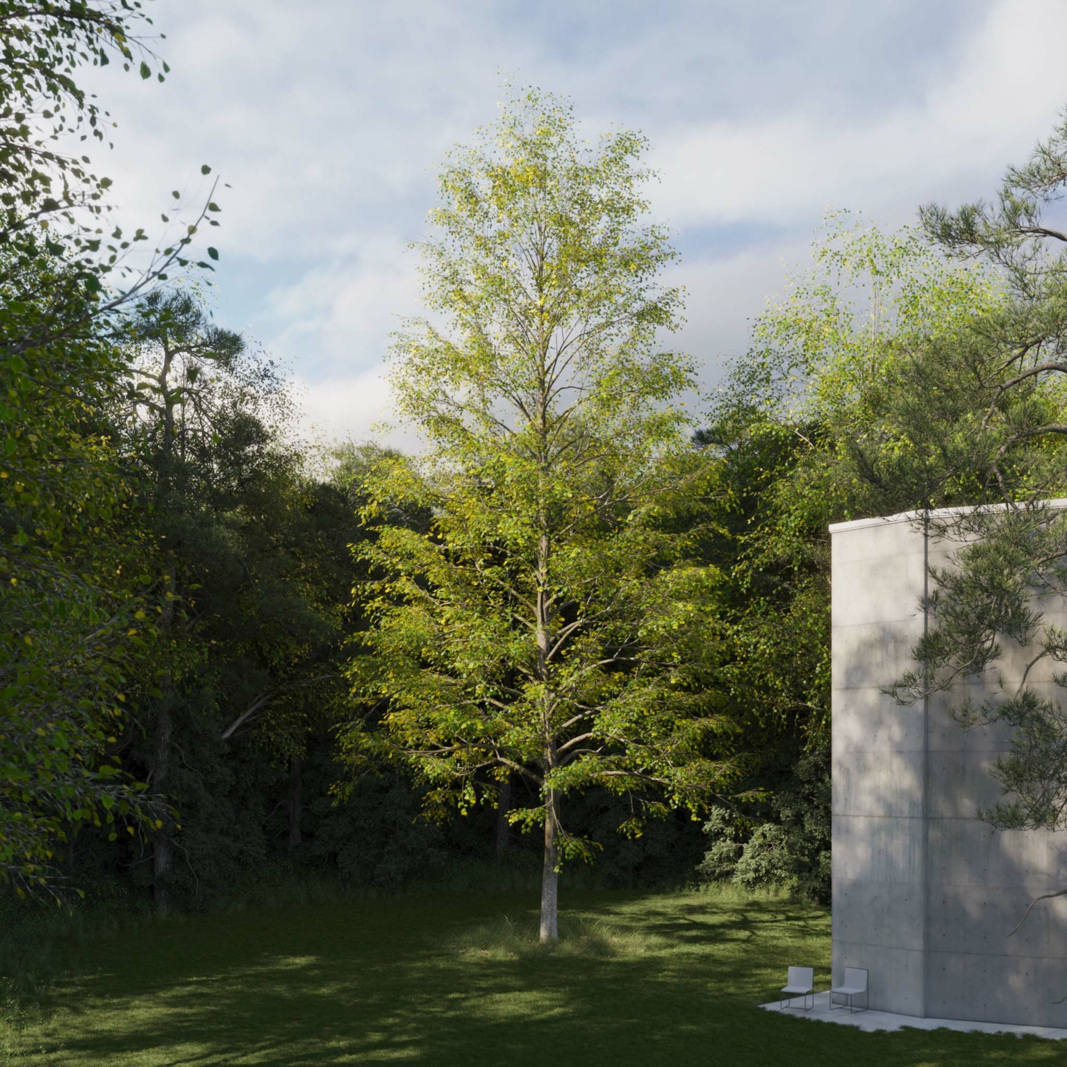 3D tree models for realistic architectural visualization