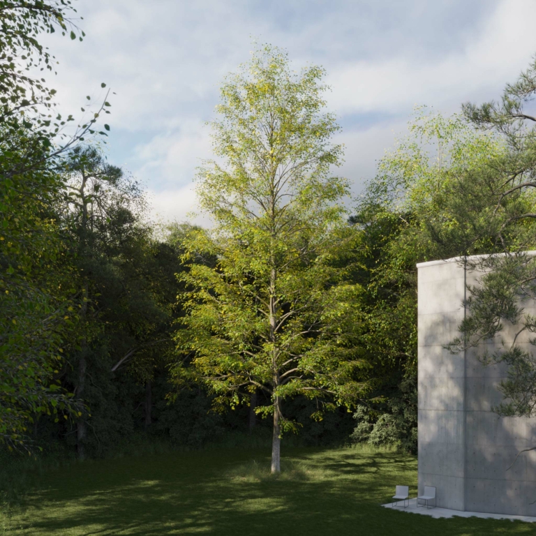 3D tree models for realistic architectural visualization