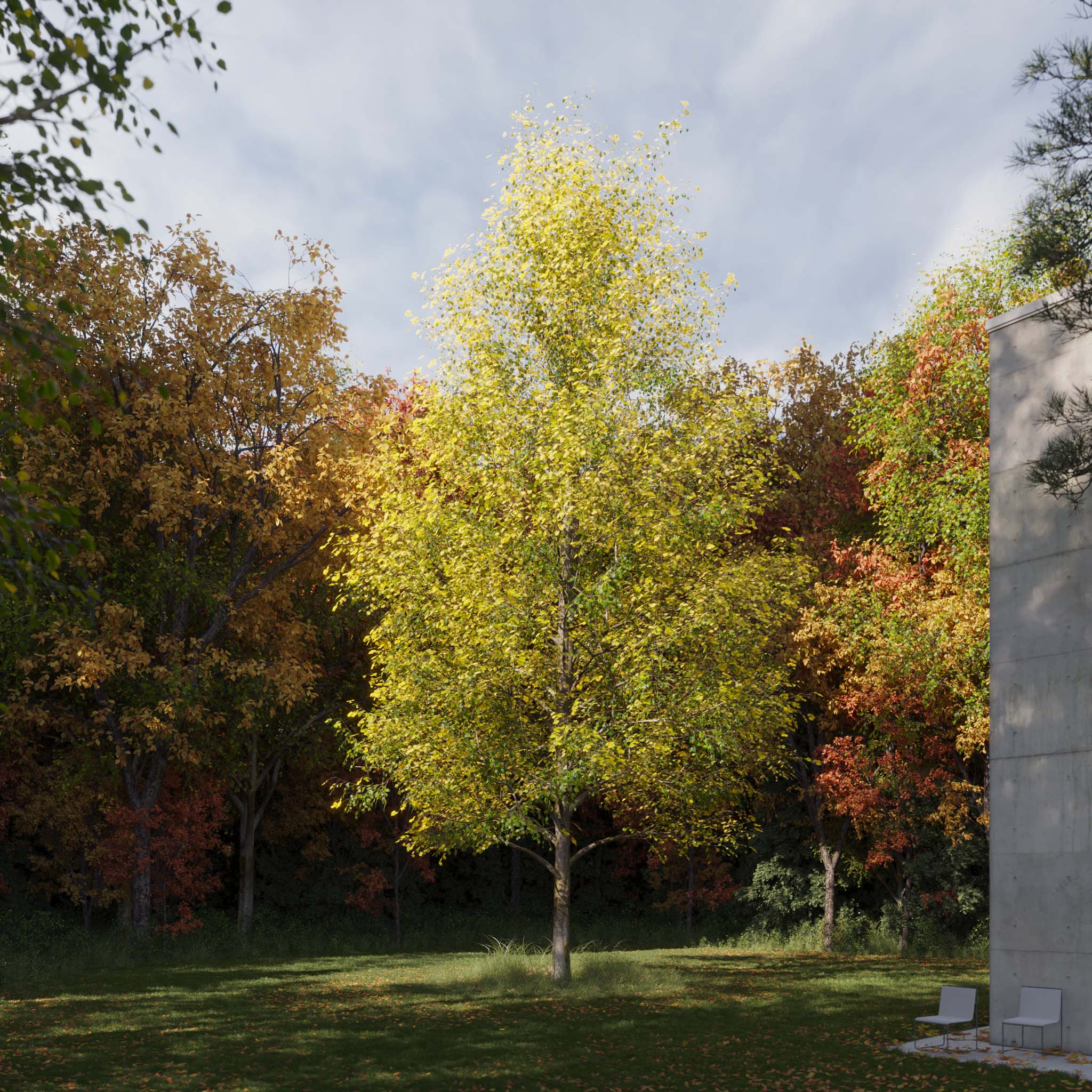 VP COMPLETE | 3D plants, textures and HDRIs for ArchViz