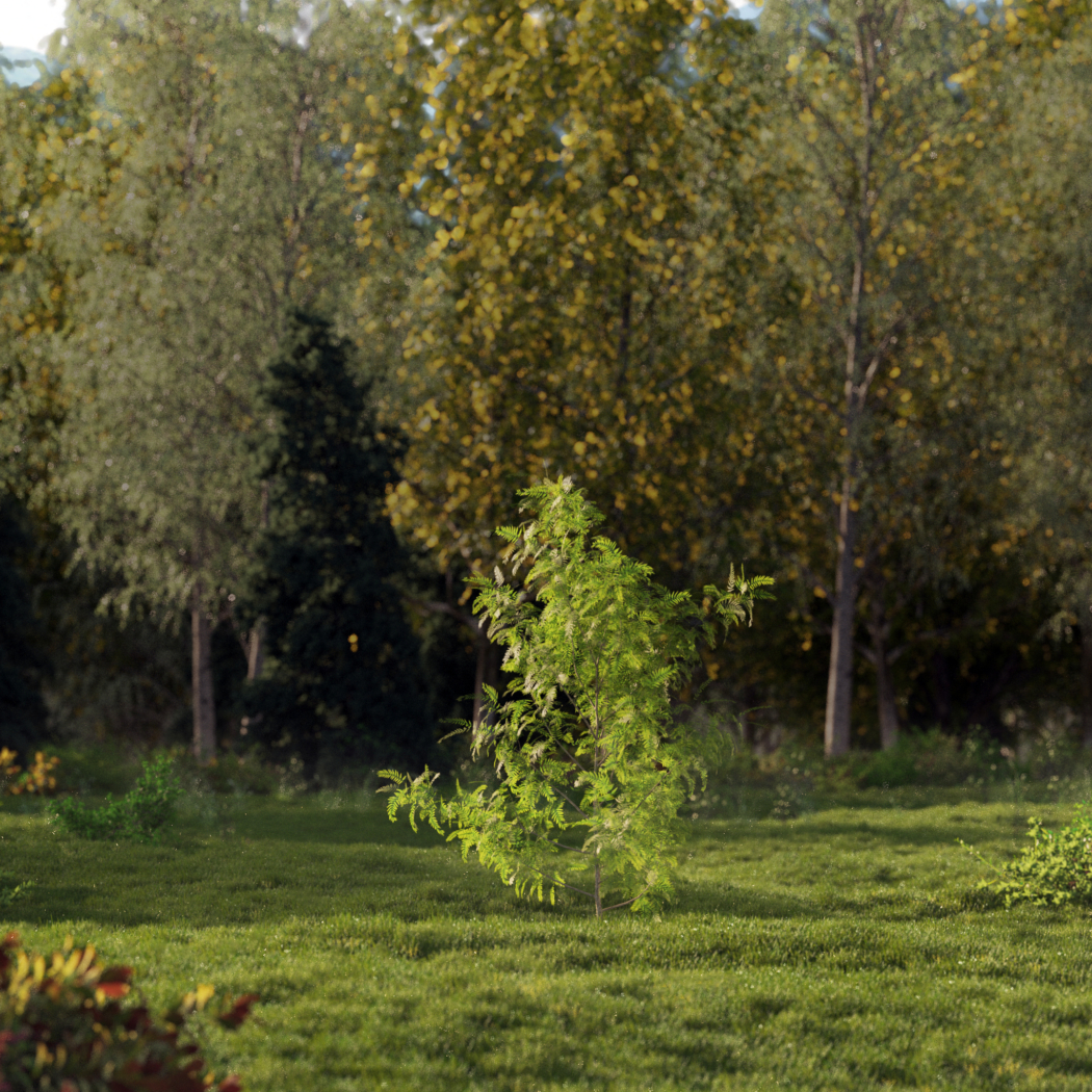 3D tree models for realistic architectural visualization