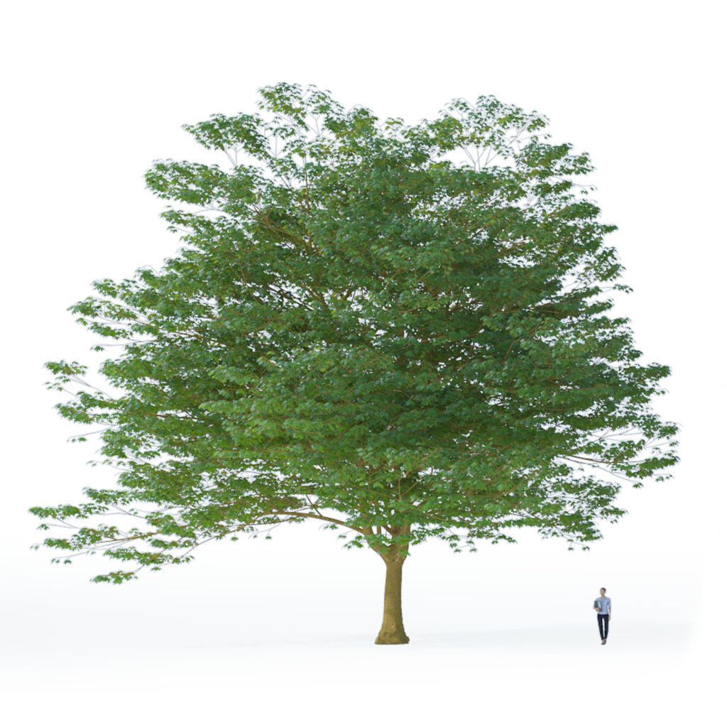 HDRIs Archives - VIZPARK™